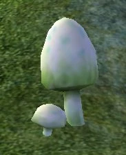Simple Mushroom - Runes of Magic Wiki