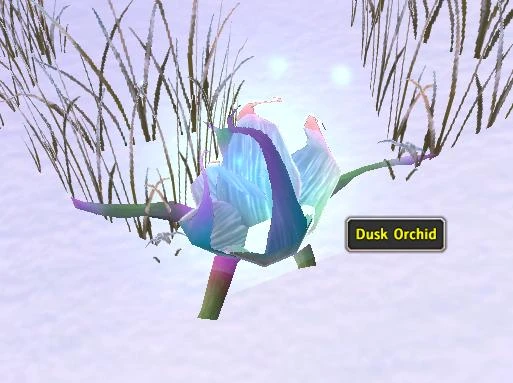 Dusk Orchid (Object) - Runes of Magic Wiki