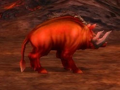 Red-Meat Boar - Runes of Magic Wiki