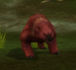 Red Scavenger Bear - Runes of Magic Wiki
