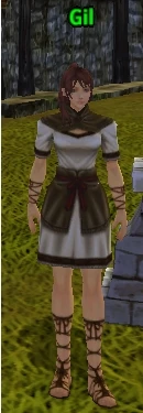 Gil - Runes of Magic Wiki