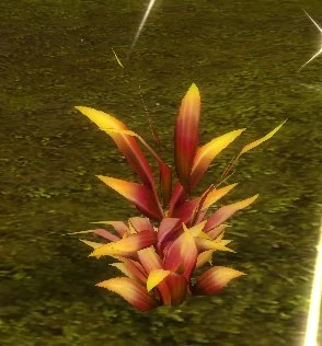 Sharptooth Blood (Object) - Runes of Magic Wiki