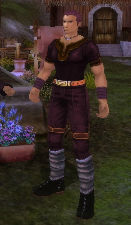 Seagull in a Cage - Runes of Magic Wiki