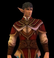 Enhanced Gorgeous Coat - Runes of Magic Wiki