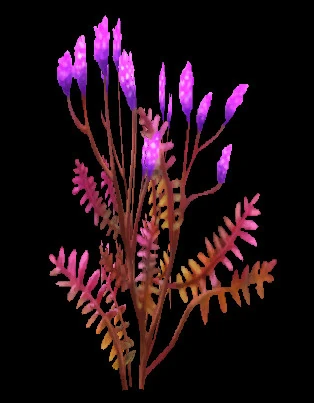 Dry Plant (Object) - Runes of Magic Wiki