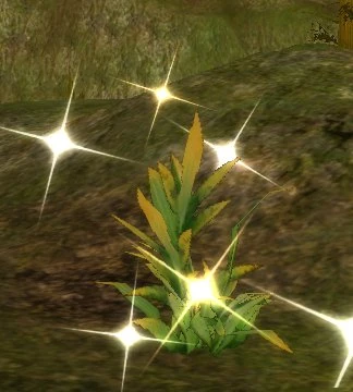 Common Weed (Object) - Runes of Magic Wiki