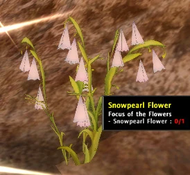 Focus of the Flowers - Runes of Magic Wiki