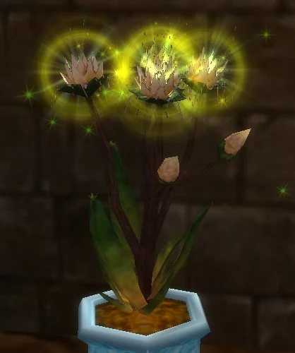 Seed - Freedom Tulip - Runes of Magic Wiki