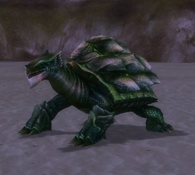 Hot Spring Turtle - Runes of Magic Wiki