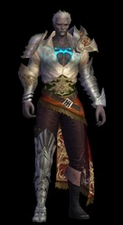 Warnorken Arena - Runes of Magic Wiki