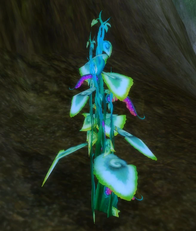 Mula Weed - Runes of Magic Wiki