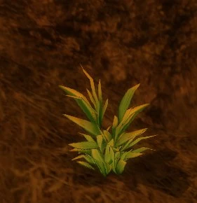 Vanilla Pod - Runes of Magic Wiki