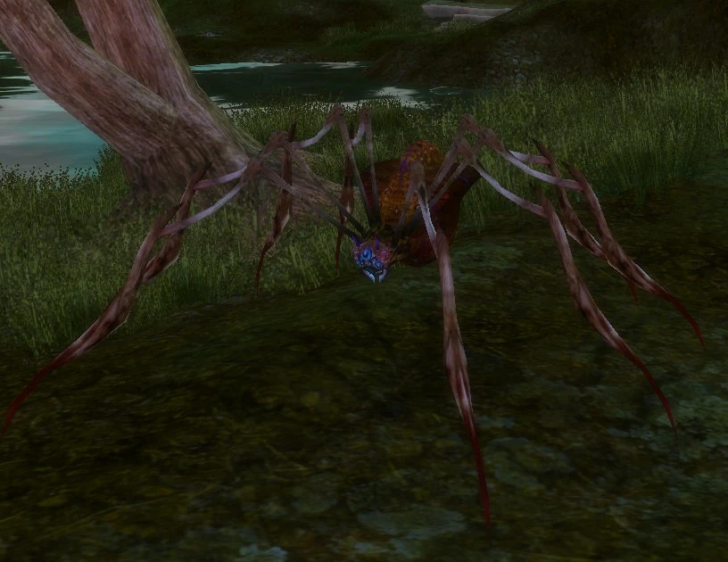 Tusk Spider - Runes of Magic Wiki