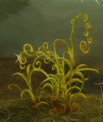 Tea Plant Bud (Object) - Runes of Magic Wiki