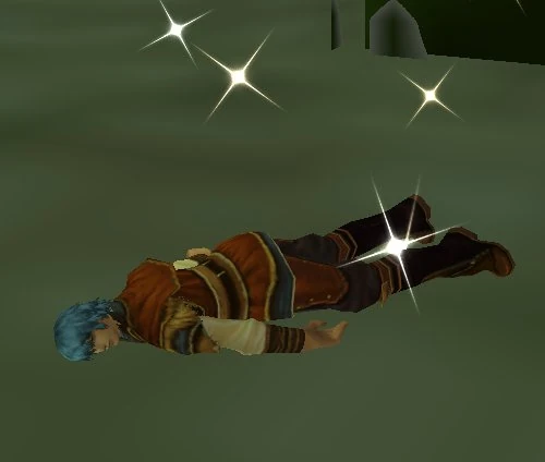 Occupied Body Bag - Runes of Magic Wiki