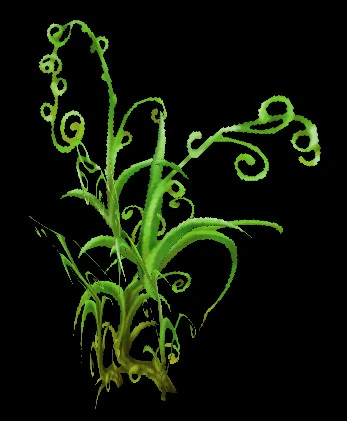 If I Persevere - Runes of Magic Wiki