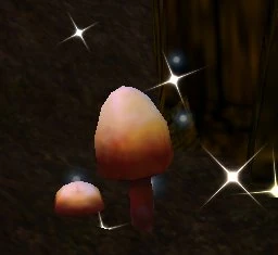 Kaluga Grove Mushroom (Object) - Runes of Magic Wiki