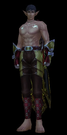 Aura Mutation (Item Set)/Leather - Runes of Magic Wiki