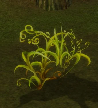 Grapes - Runes of Magic Wiki