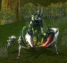 Mutated Giant Mantis - Runes of Magic Wiki
