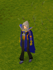 Magic | Runesscape Wiki | Fandom