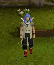 Defence | Runesscape Wiki | Fandom