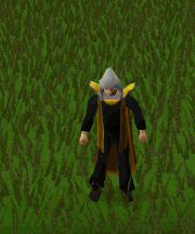 Runecrafting | Runesscape Wiki | Fandom