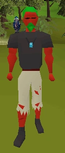 Collection pendant 4 | Runex - RSPS Wiki | Fandom