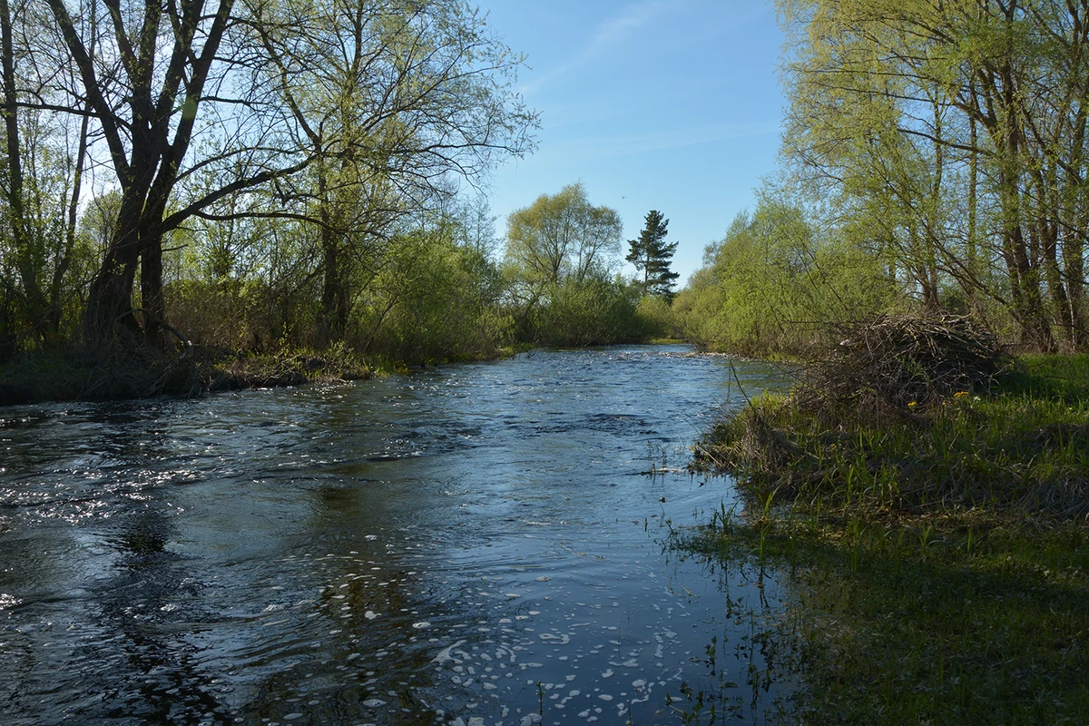 Веронда | Rusich Hockey League Вики | Fandom