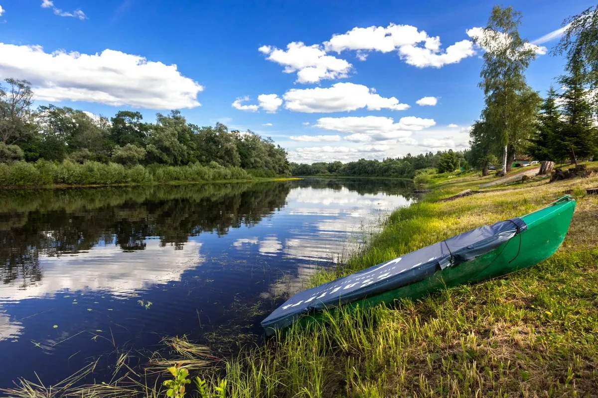 Пола | Rusich Hockey League Вики | Fandom