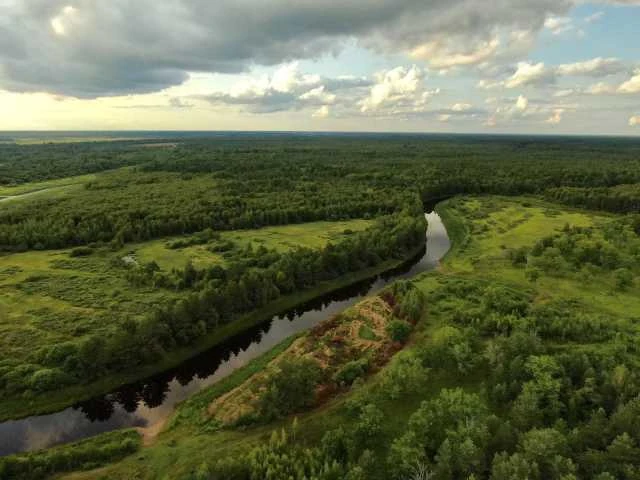 Ниша | Rusich Hockey League Вики | Fandom