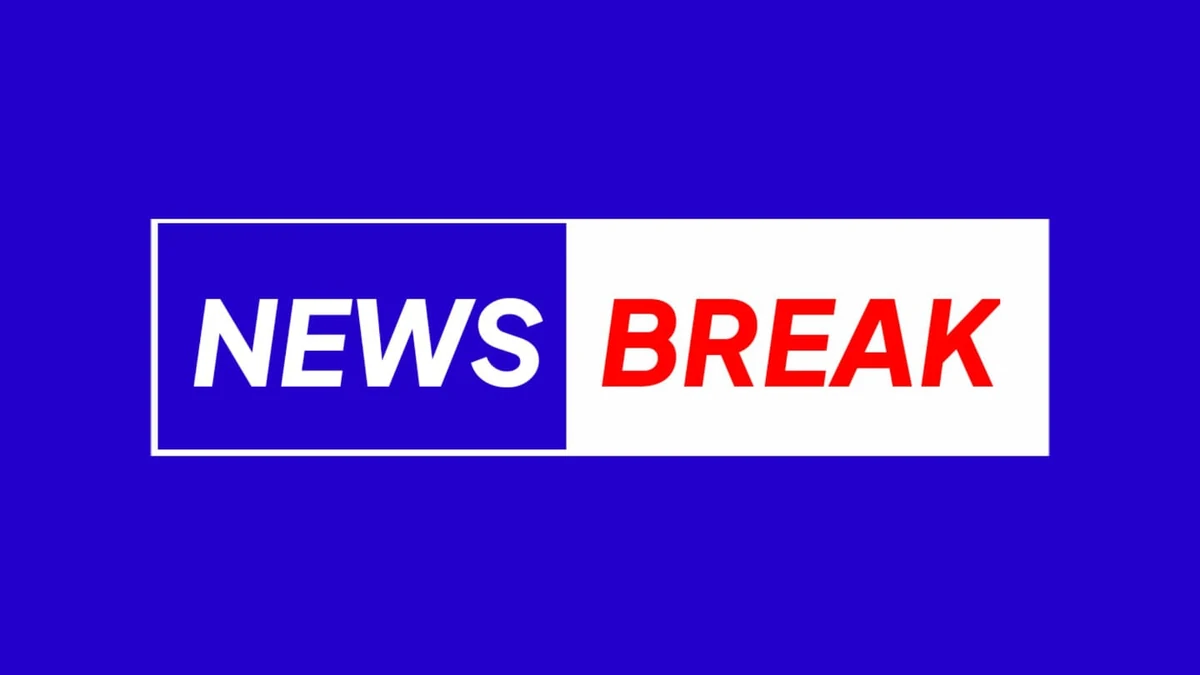 NewsBreak Logo Other | Russel Wiki | Fandom