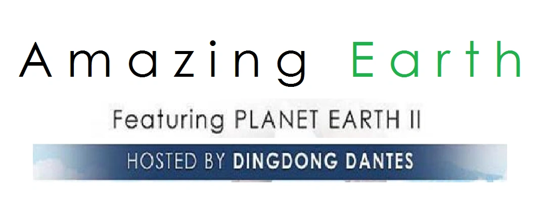 Amazing Earth (GMA) | Russel Wiki | Fandom