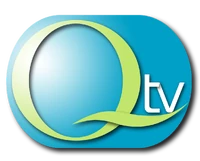 GTV Standard Logos (2005-2007) | Russel Wiki | Fandom