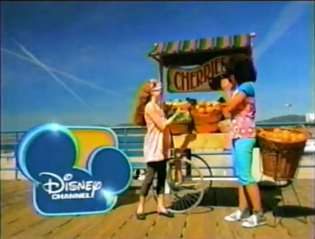 Disney Channel Program Bumpers (Summer 2010-2011) | Russel Wiki | Fandom