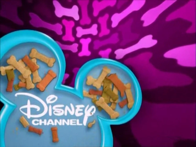 Disney Channel (Philippines)/Bounce Logo Idents (2003 Presentation ...