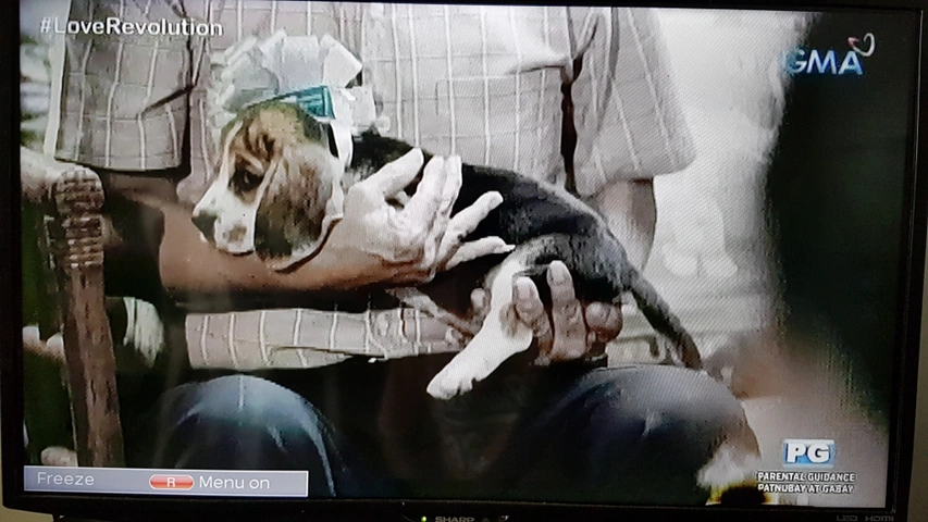 GMA Network Program On Screen Bugs (February-August 2023) | Russel Wiki | Fandom