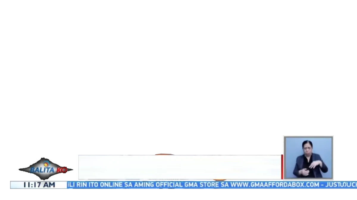 Balita Ko Logo Other | Russel Wiki | Fandom