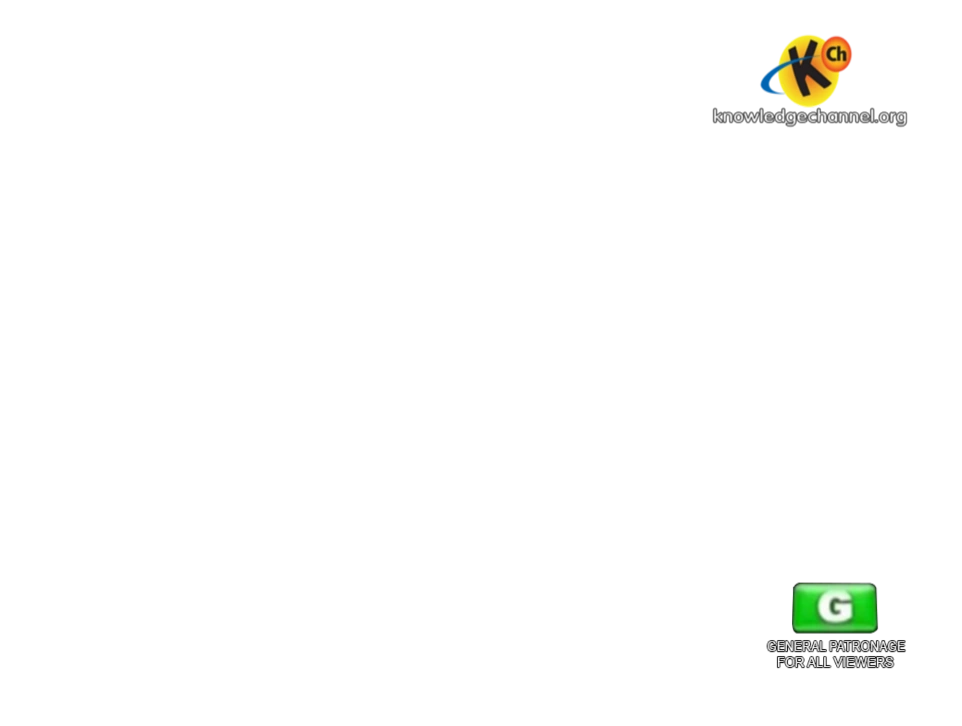 Knowledge Channel On Screen Bugs (2010-2019) | Russel Wiki | Fandom