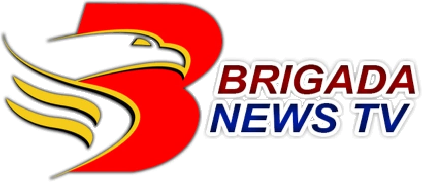 Brigada TV Logos (2020-2021) | Russel Wiki | Fandom