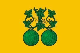 Balashov | Russia Wiki | Fandom