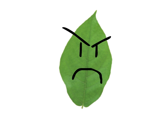 Evil Leafy | Russmarrs2 Rise of Sqeegee Wiki | Fandom