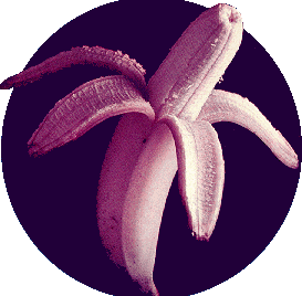 Rutle Records | The Rutles Wiki | Fandom