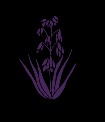 Laurel Dunstan/History | RWBY Remnant Wiki | Fandom