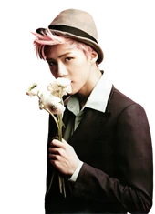 Mistral Valley Waterfall | RWBY Roleplay Wiki | Fandom