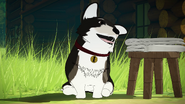 Animals | RWBY Wiki | Fandom