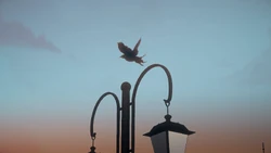 User blog:DanteVin/Qrow's Crows and Where to Put Them | RWBY Wiki | Fandom