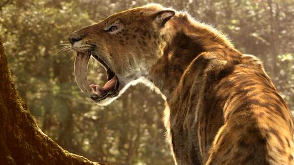 Smilodon | Who Would Win Wiki | Fandom