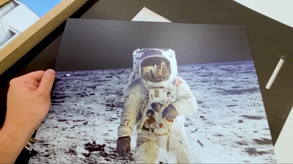 Anthony | Ryan George Cinematic Universe Wiki | Fandom