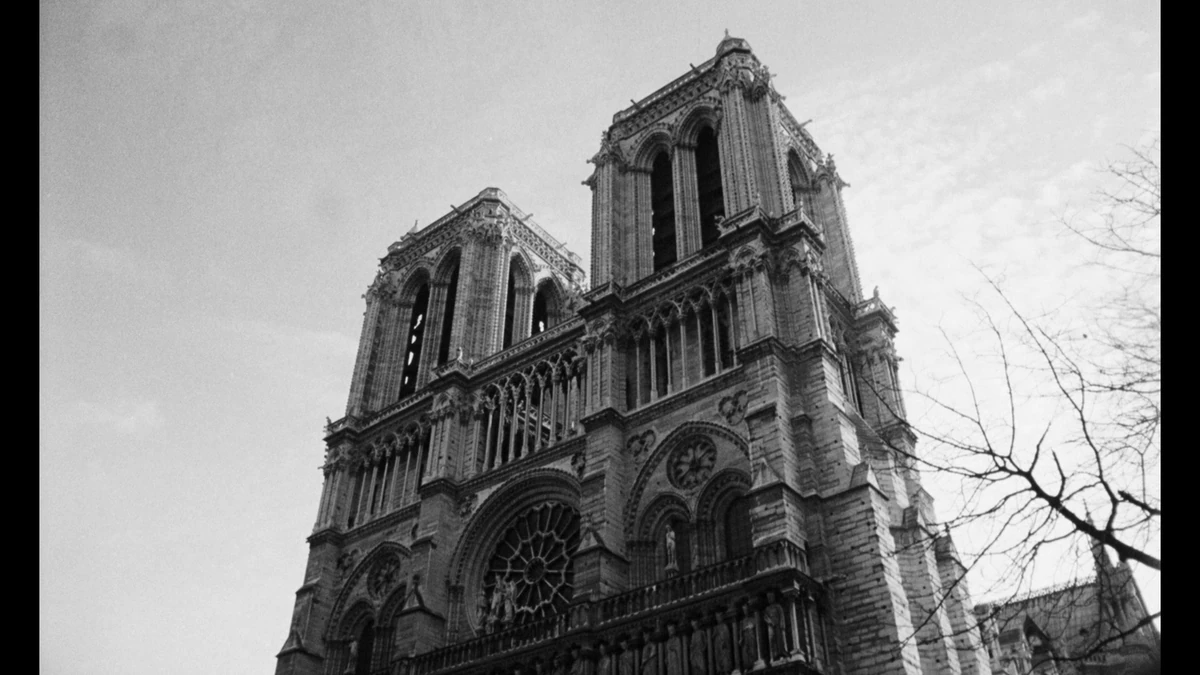 Notre Dame | Ryan McCleary Worldapedia Wiki | Fandom